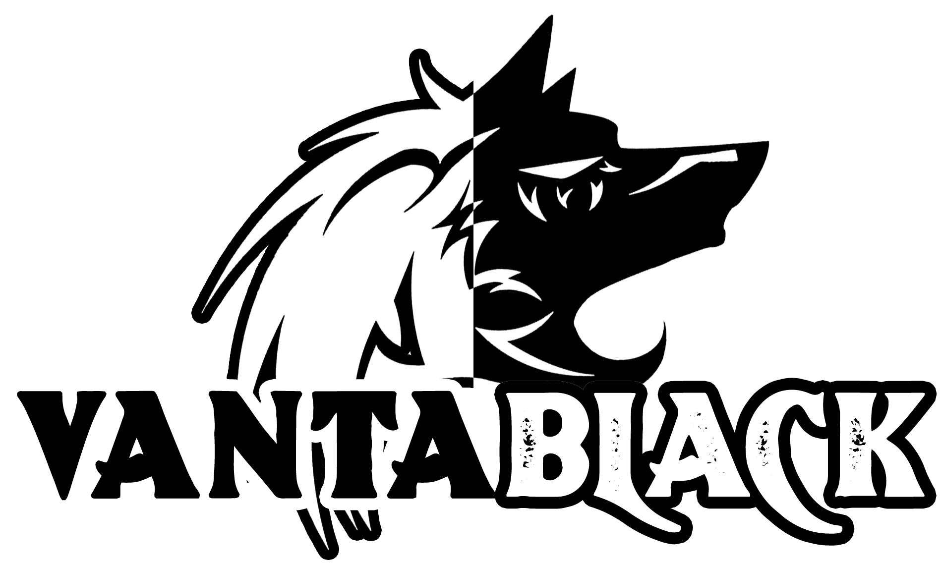 VantaBlack Technologies